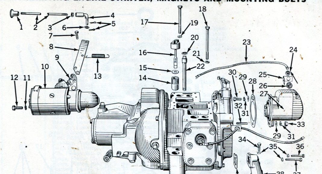 This Pony is Alive! - Green Magazine