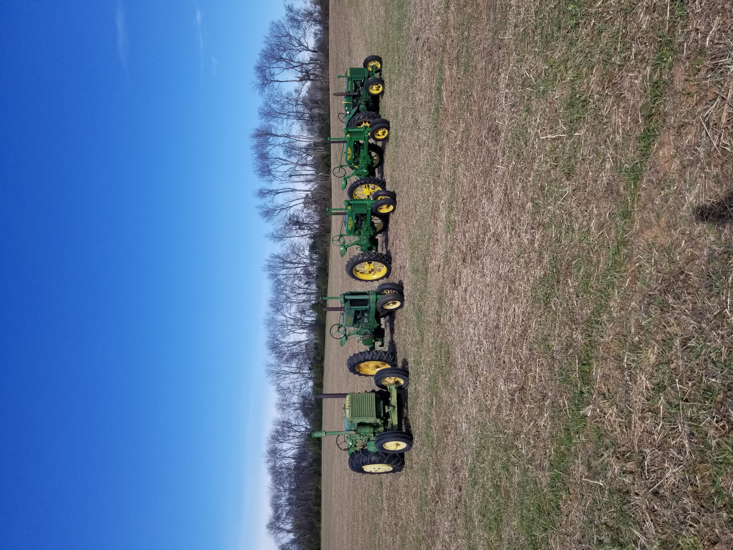 Martin Family Unstyled Collection - Green Magazine